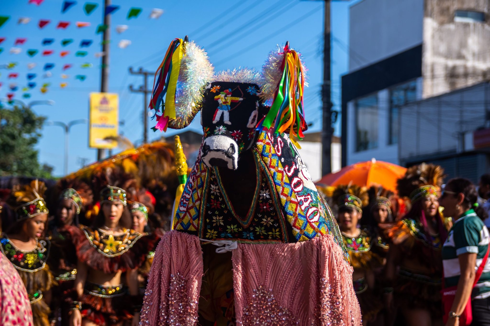 A festa do BOI: conheça a origem do Bumba Meu Boi - Aprende Brasil